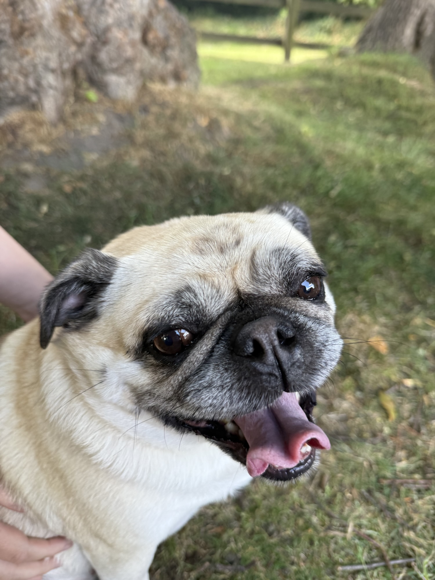 84: Polly ‘Hufflepug’ – Matthew Goddard
